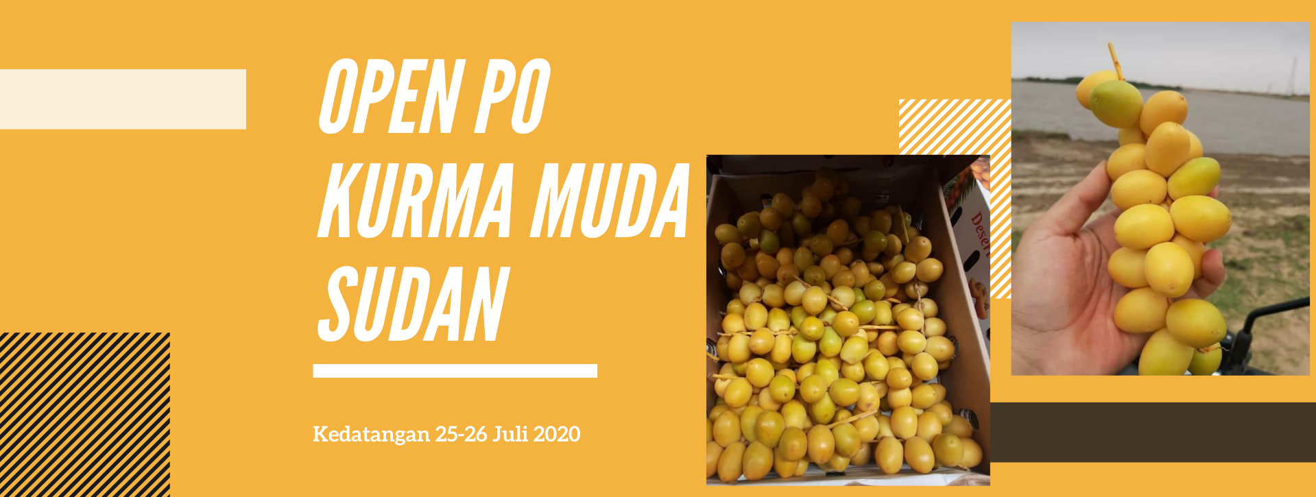 SyababCamp Indonesia | Syabab Camp, Rumah Pintar IT, Content Creator ...